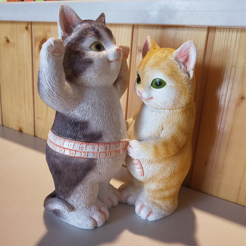 Cat with Measure Tape - Hub Gardens